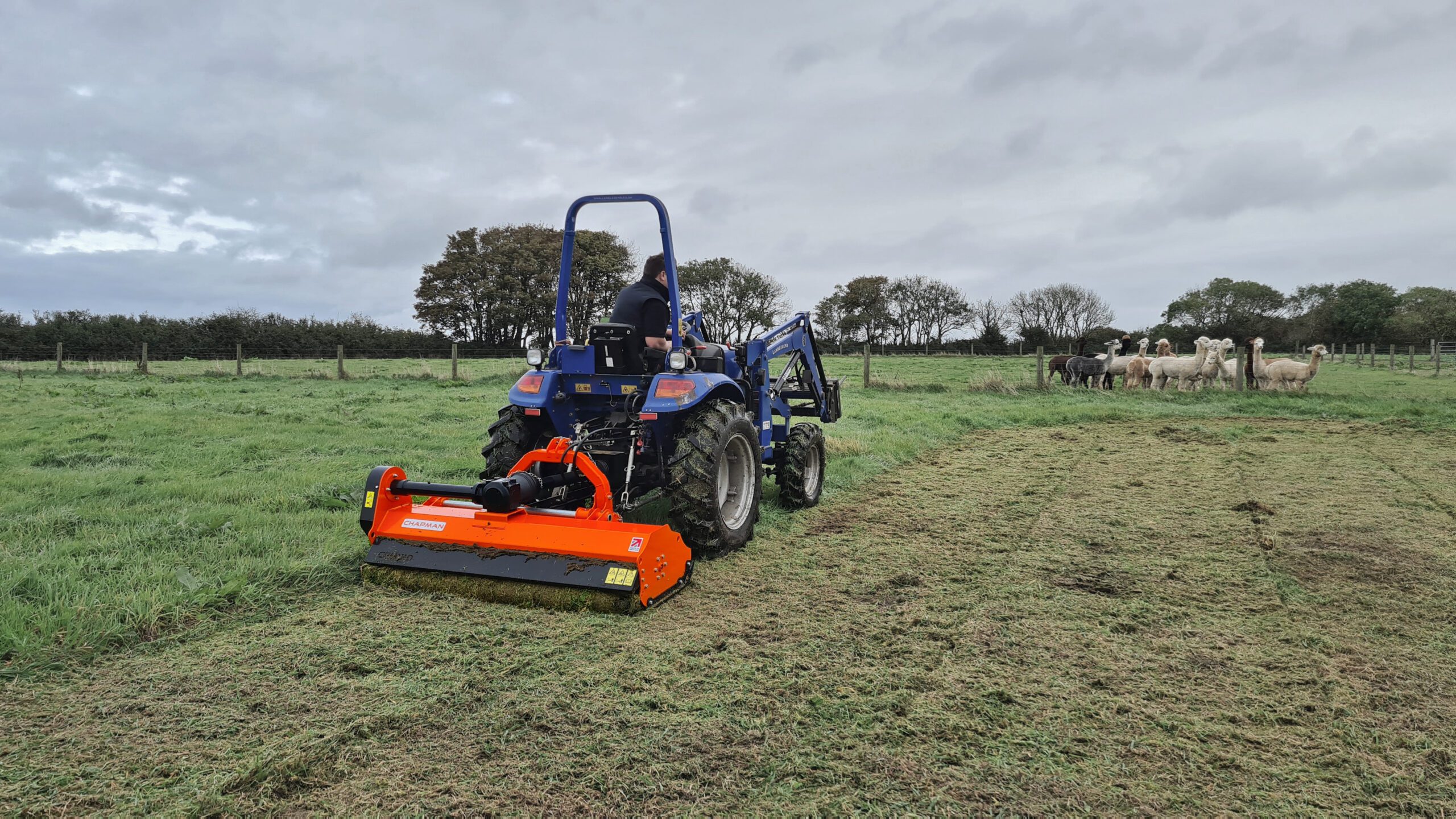 Compact Tractor Flail Mower - Chapman Machinery